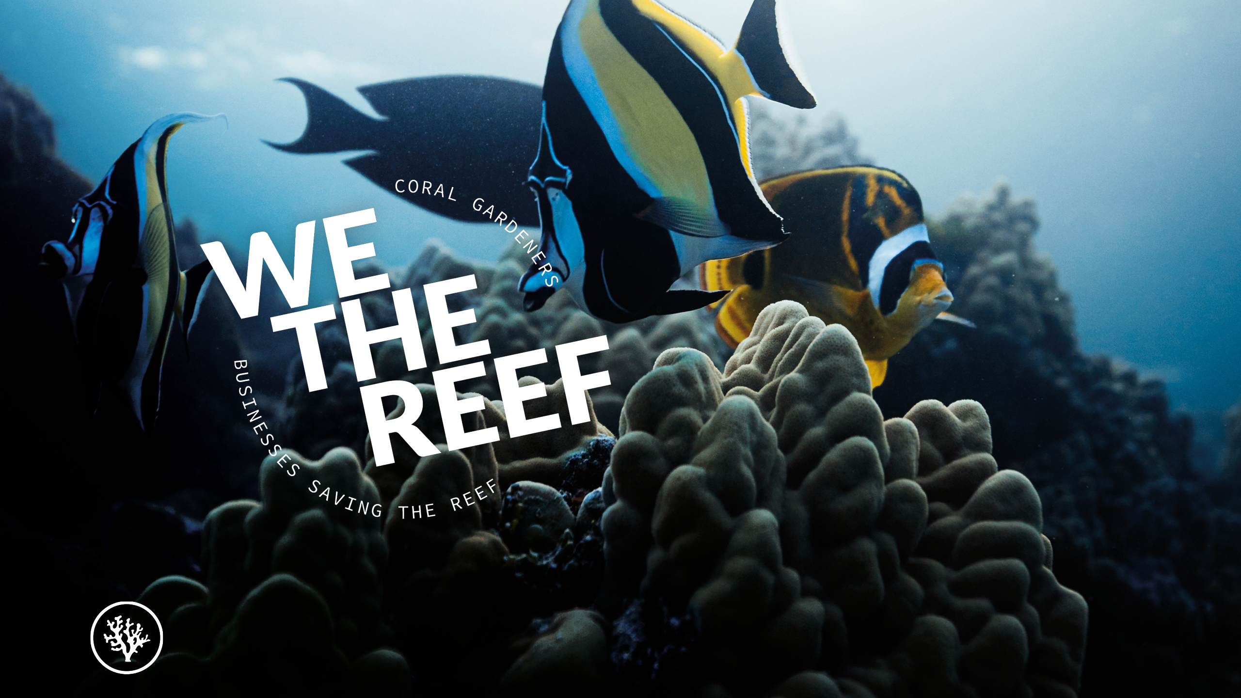 We The Reef
